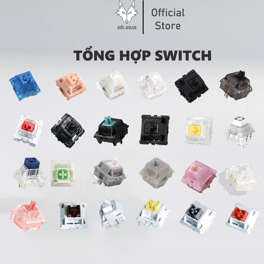[HN - Hcm EXPRESS] Collection of Switch keyboard switches | Pack of 10 ...