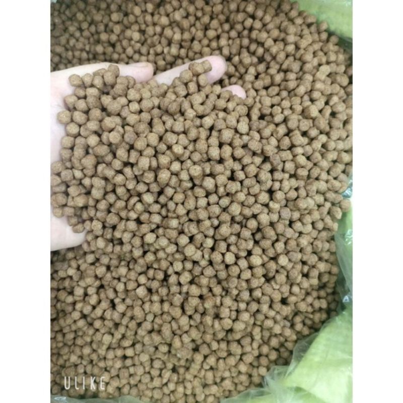 New koi fish bran 5kg | Shopee Philippines