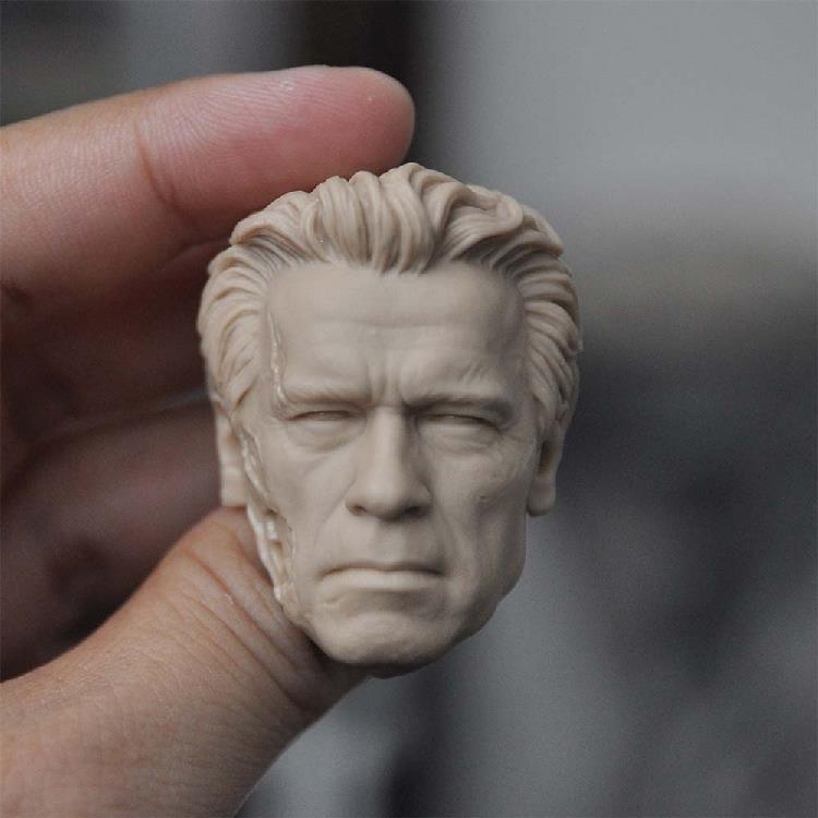1/6 White Model Schwarzinger Head Sculpture Terminator Genesis T800 ...