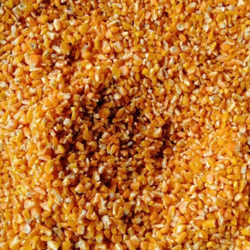 1kg Corn Bran Powder - corn flakes Food for Cattle and Poultry ...