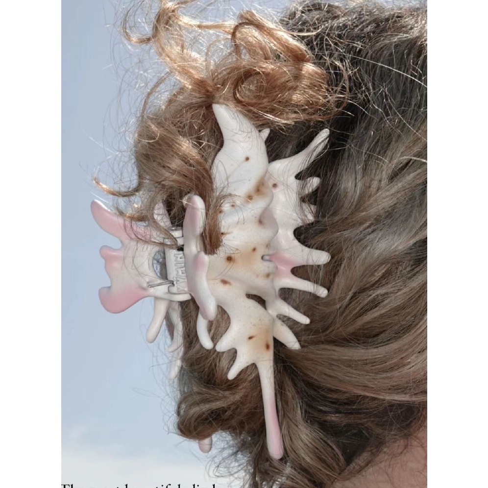 Conch Hairpin Niche Design High-End Conch Shape Grab Clip Hair Grab ...