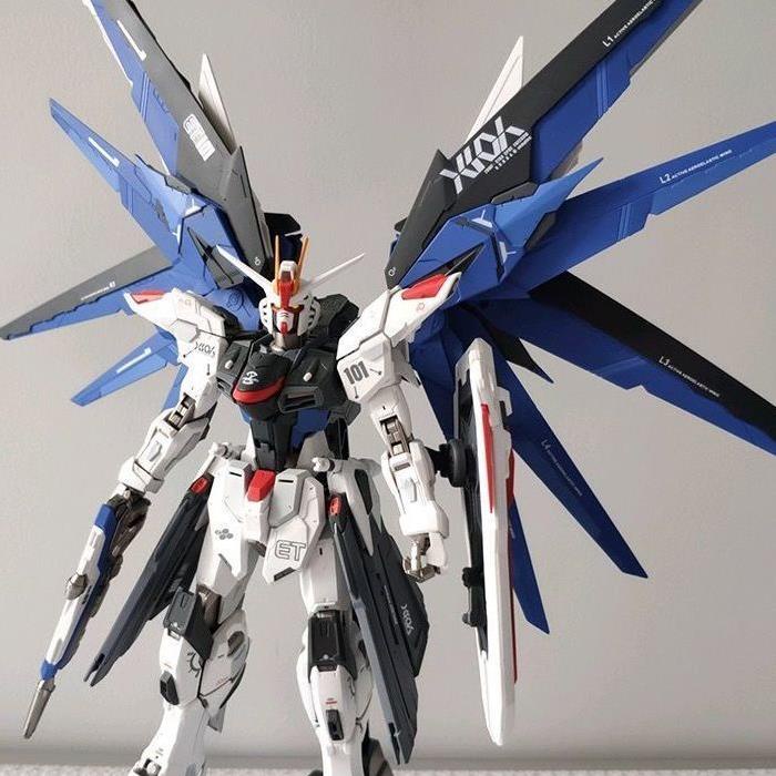 Assembly Model MG Gundam Freedom 6650 - Assembly Gumdam Model | Shopee ...
