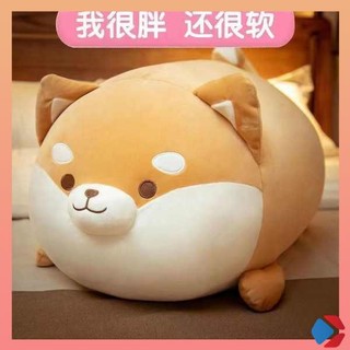plushie miniso kids toys for girls plushie stuffed toy Cute Chai Dog ...