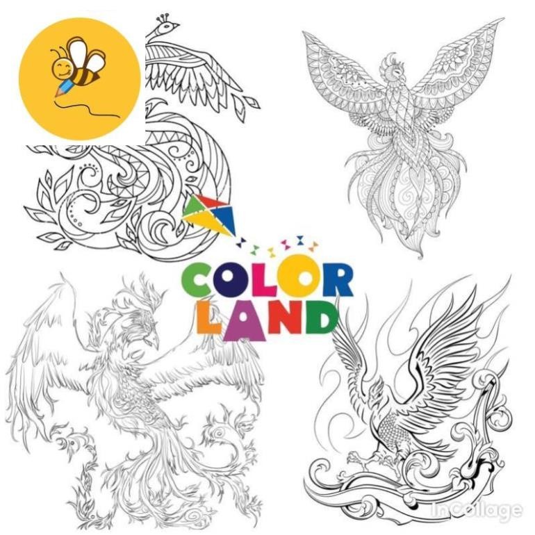 Phoenix Fire Phoenix Coloring Painting - Set Of 20 A4 A5 Coloring ...