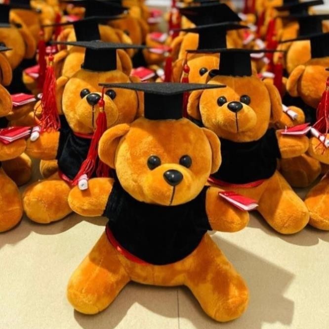 Bachelor Graduation Teddy BEAR - Graduation Gift New Model 2024 (HAPPY ...