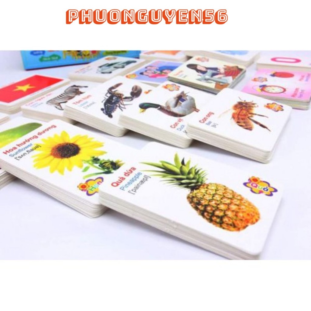 GIADUNGHANOI39 Smart Flash Cards with 16 topics (SMALL TYPE - 416 CARDS ...