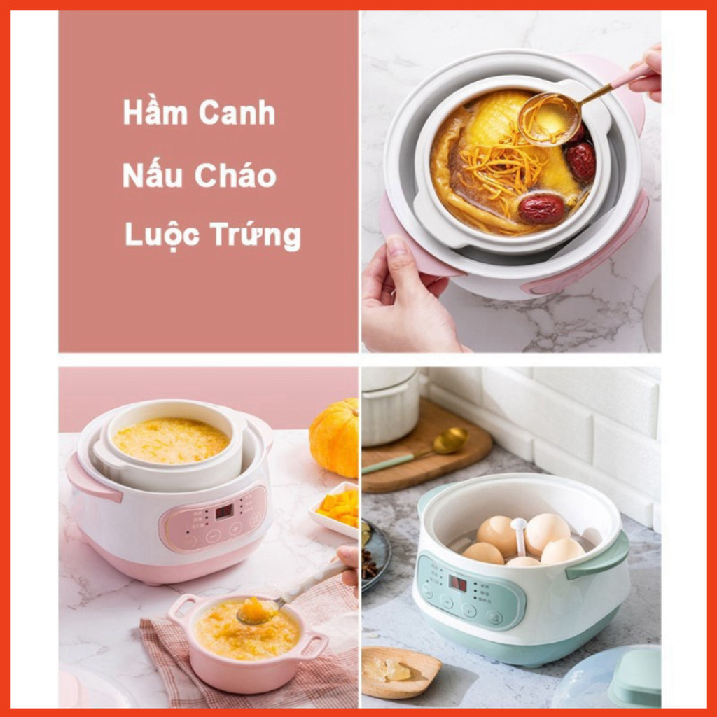 Convenient 220W Domestic Slow Porridge Cooker, Bird's Nest Sterilizer ...