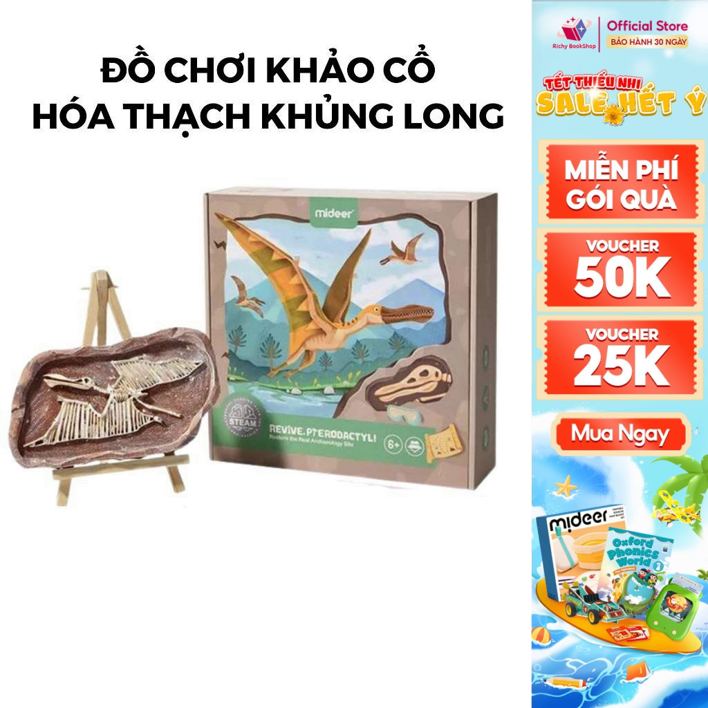 Mideer Steam Game Revive Dinosaur Archeology Toy - Dig A Dinosaur Kit ...