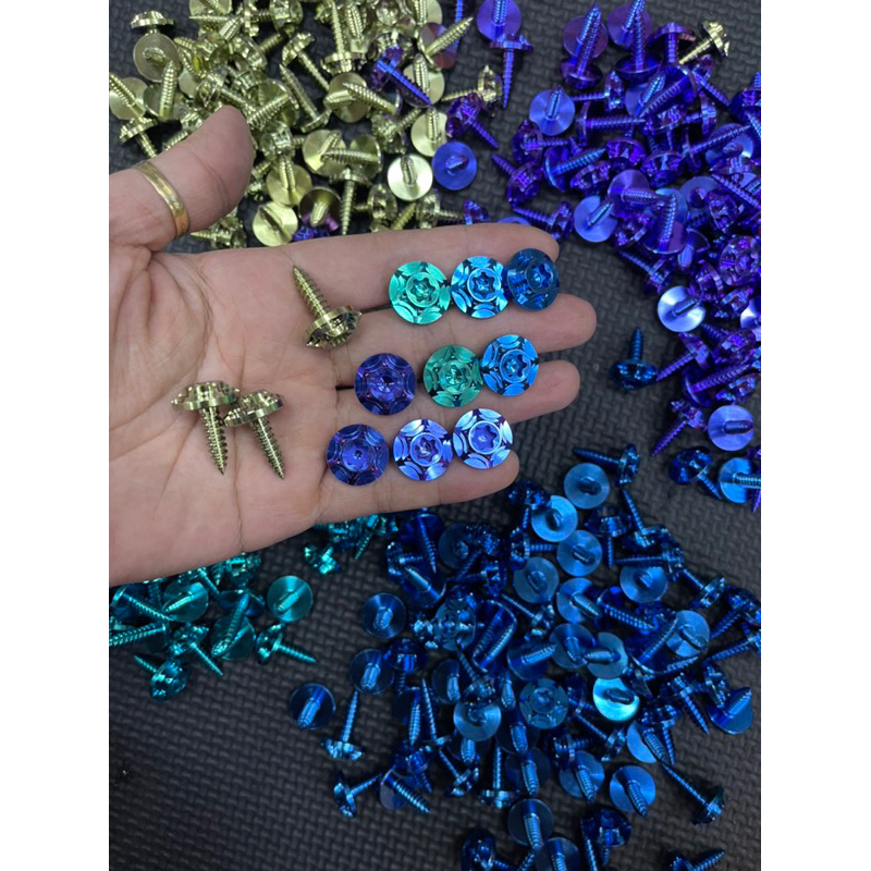 SALAYA 2-LAYER TITAN GR5 combo of 10 pcs screws 6x10 6x15 6x20 6x25 ...