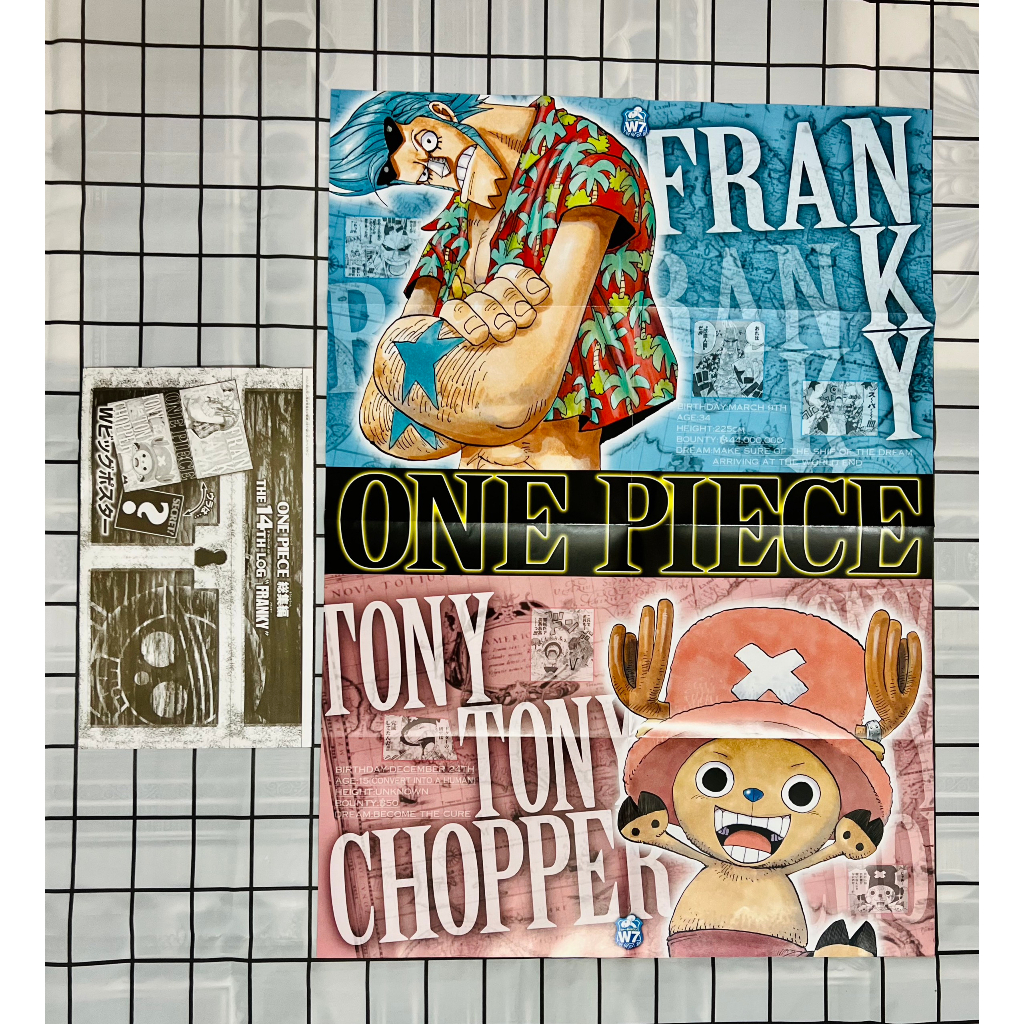 Japanese One Piece LOG Poster* | Shopee Philippines