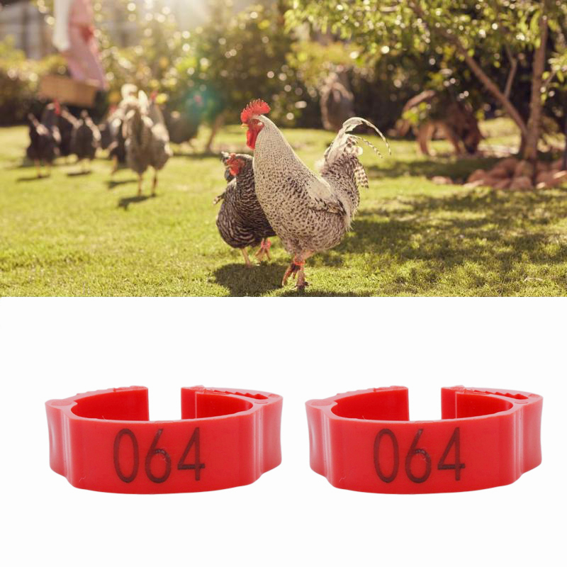 Red Chicken Foot Ring, set Of 100 Good Quality Chicken Foot Markers ...