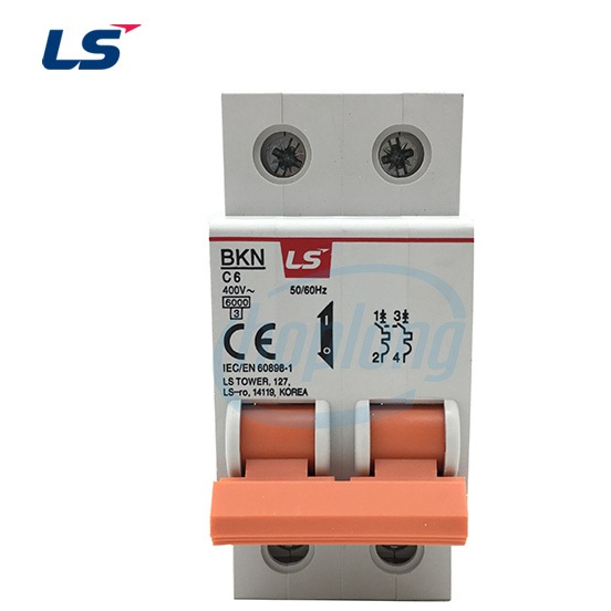 Bkn 2P 10A Automatic Circuit Breaker MCB LS C6 C10 | Shopee Philippines