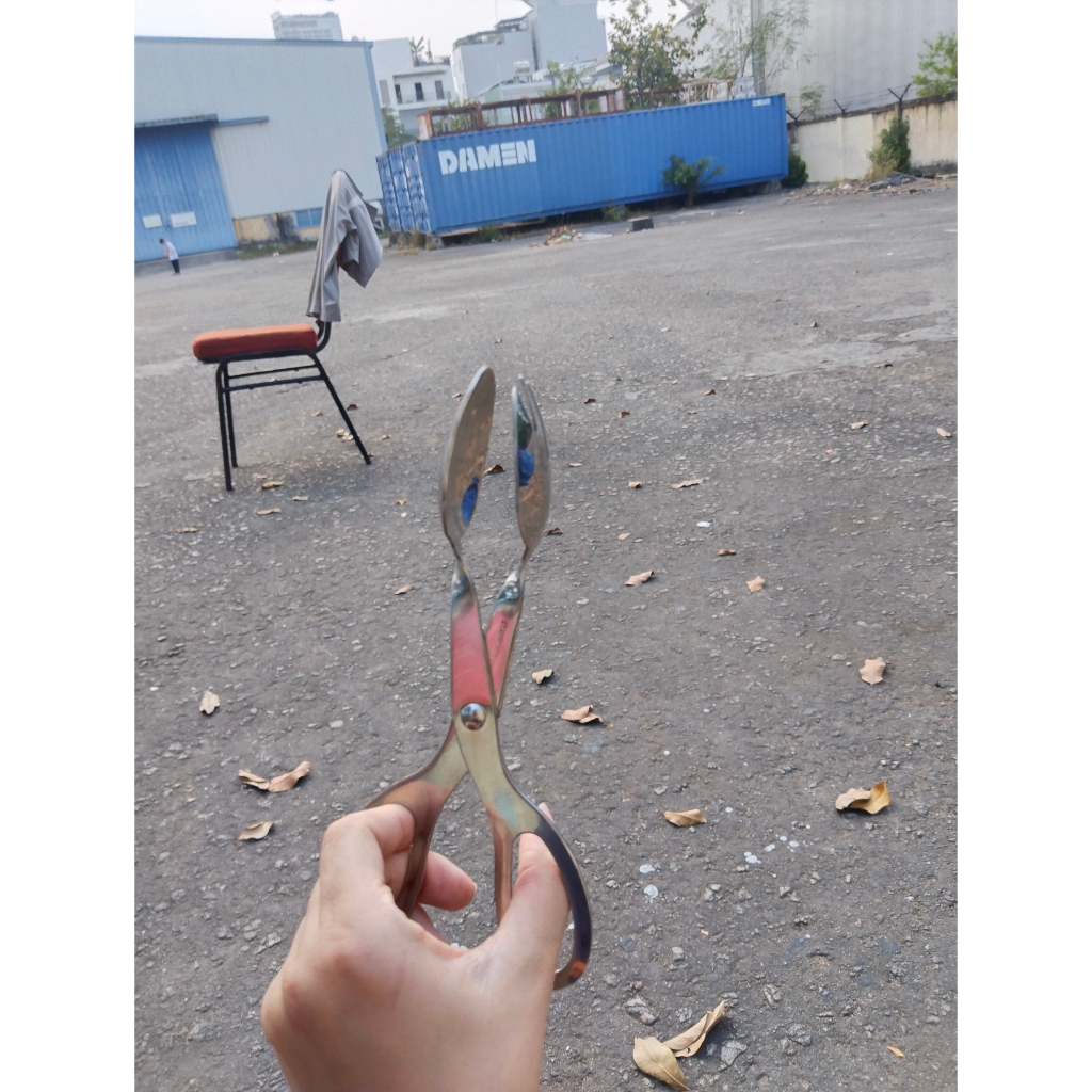 Tong Clamp 2303 Stainless Steel KT 20 cm | Shopee Philippines