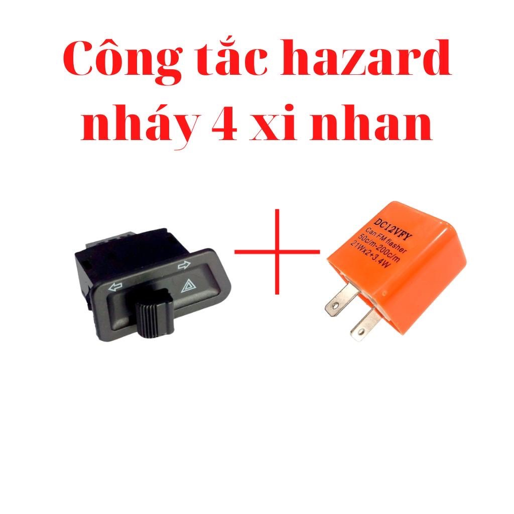 Haza Flashing Switch + Fast and Slow Adjustable Flashing Switch for ...