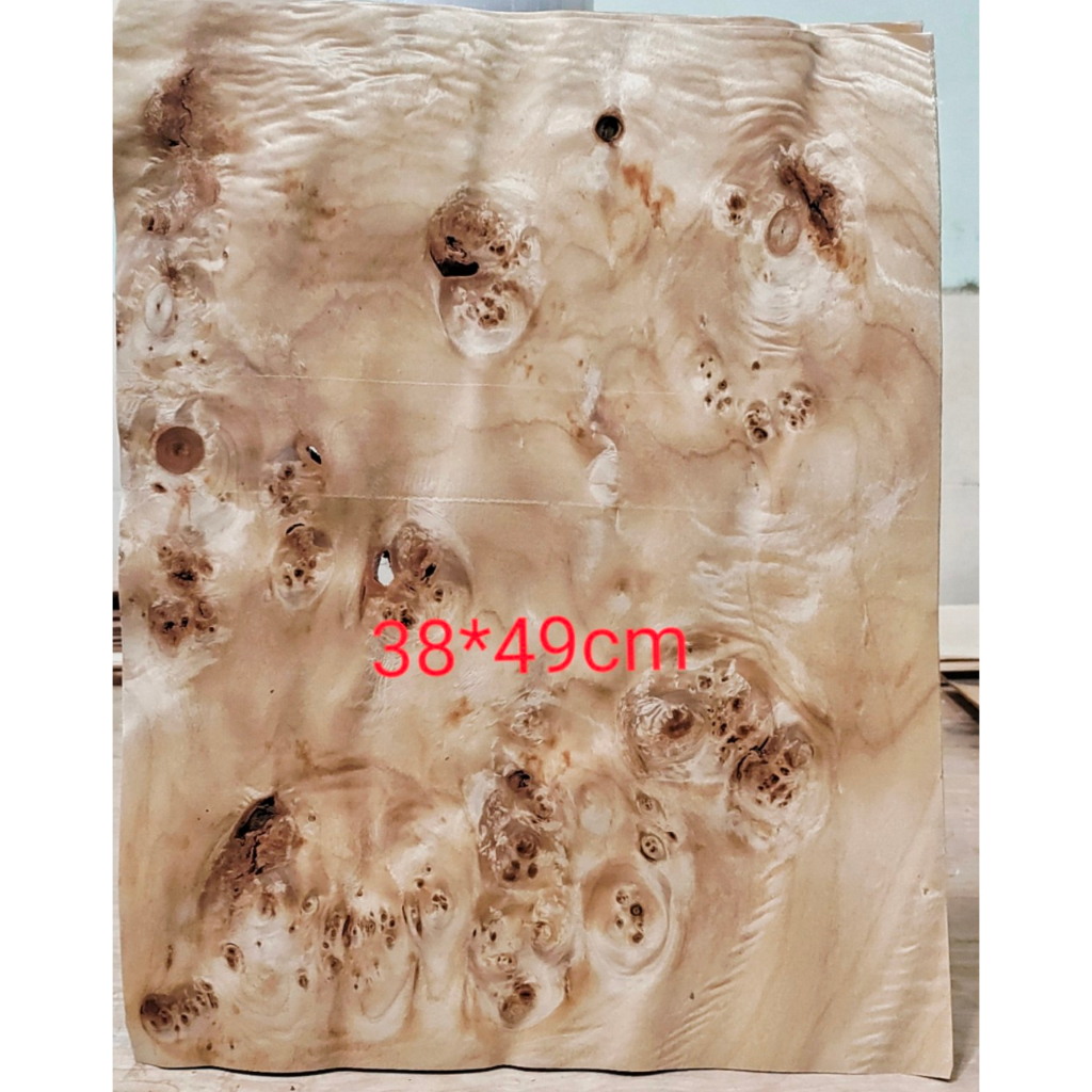 Nurl Maple QC veneer 0.6x380x490mm/ 1 sheet used for paintings ...