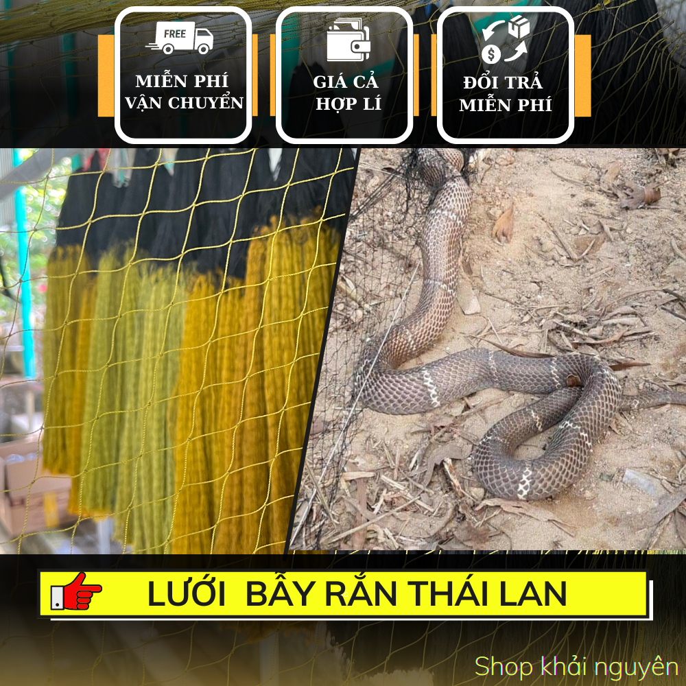 50m Thai snake trap net with 4p mesh to catch from 500gr to 2.5kg, tied ...