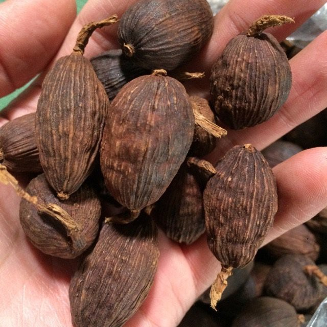 Cardamom 100g (Large, Fragrant Fruit) | Shopee Philippines