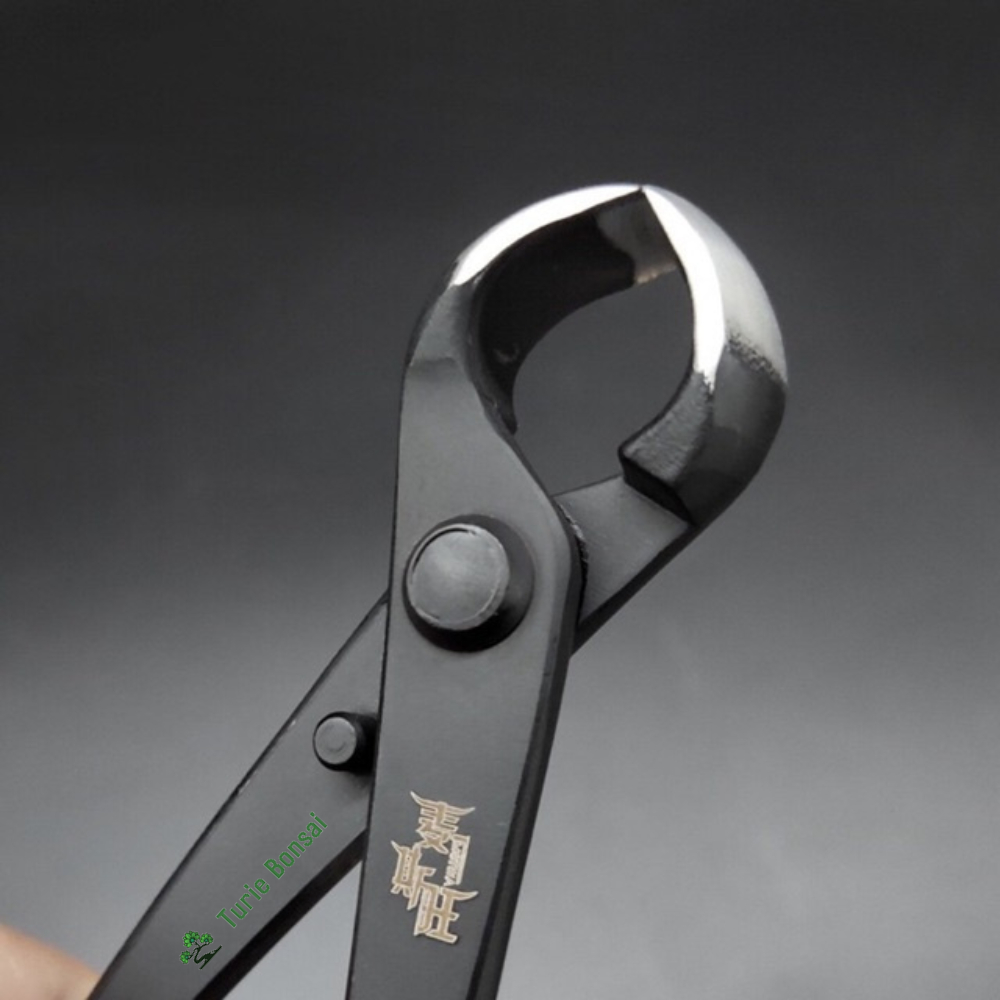 Genuine slanted round scraper for bonsai, good steel bonsai, retail ...