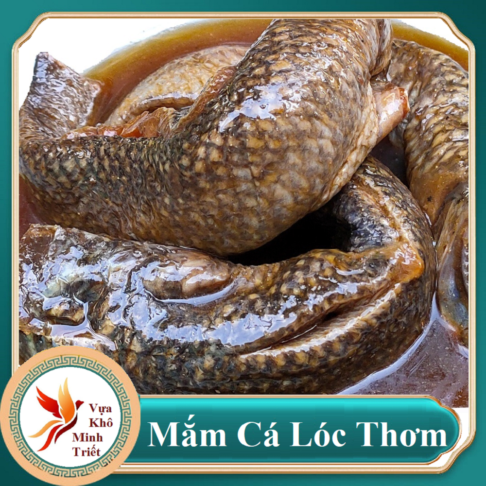 Delicious, flavorful snakehead fish sauce 500gr Minh Triet Food - Minh Triet Dry Barn | Shopee ...