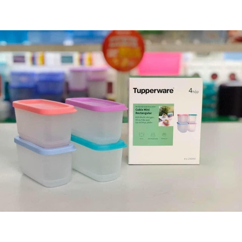 Cubix Mini Rectangular 250ml food storage box set (4) | Shopee Philippines