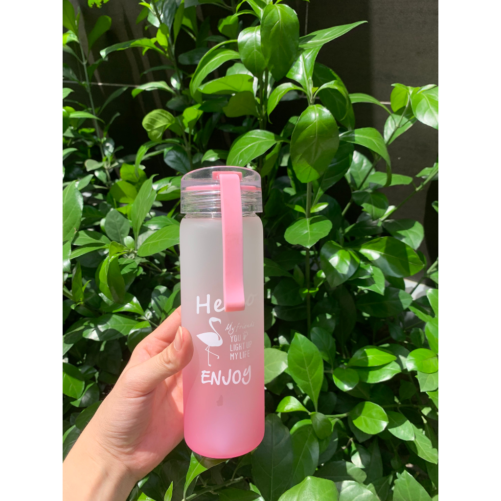RAE Glass Water Bottle (300ml) | Shopee Philippines