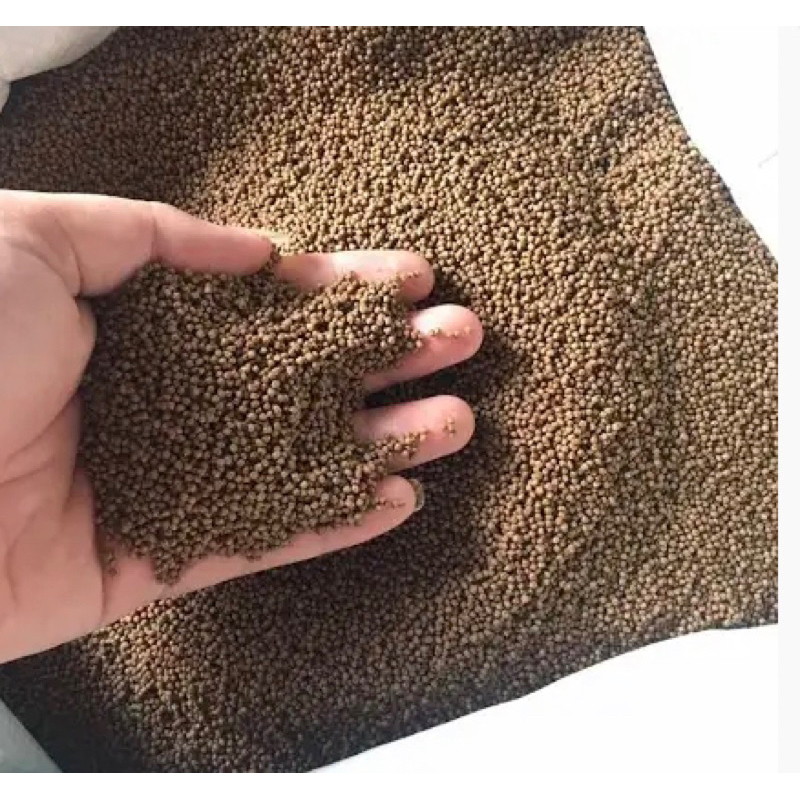 1kg High Protein Ornamental Fish Food, 7 colors, 3 tails, beta, koi ...