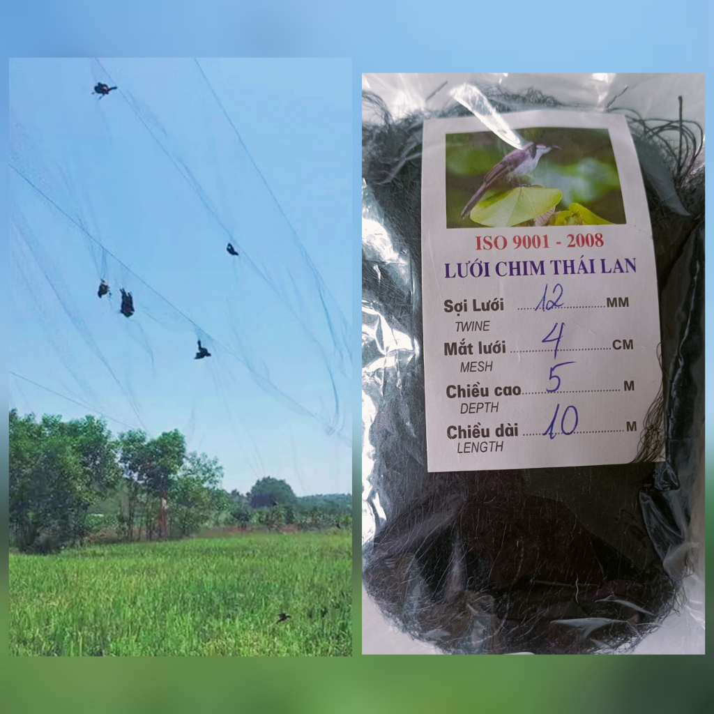 Class 1 invisible bird trap net, 5m high, traps combs, sparrows ...