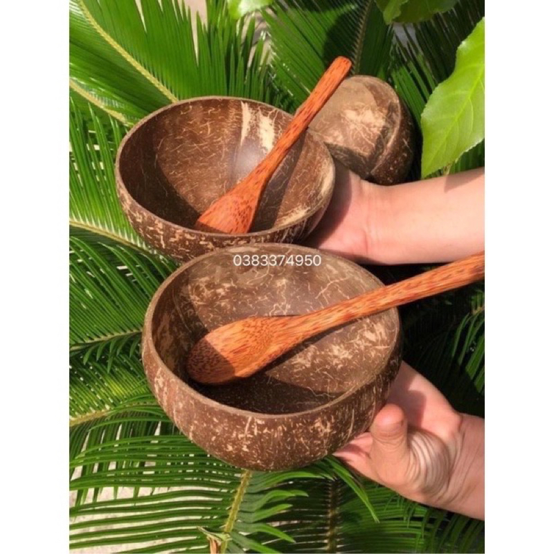 Combo Coconut shell bowl + Coconut wooden spoon made from 100% natural ...