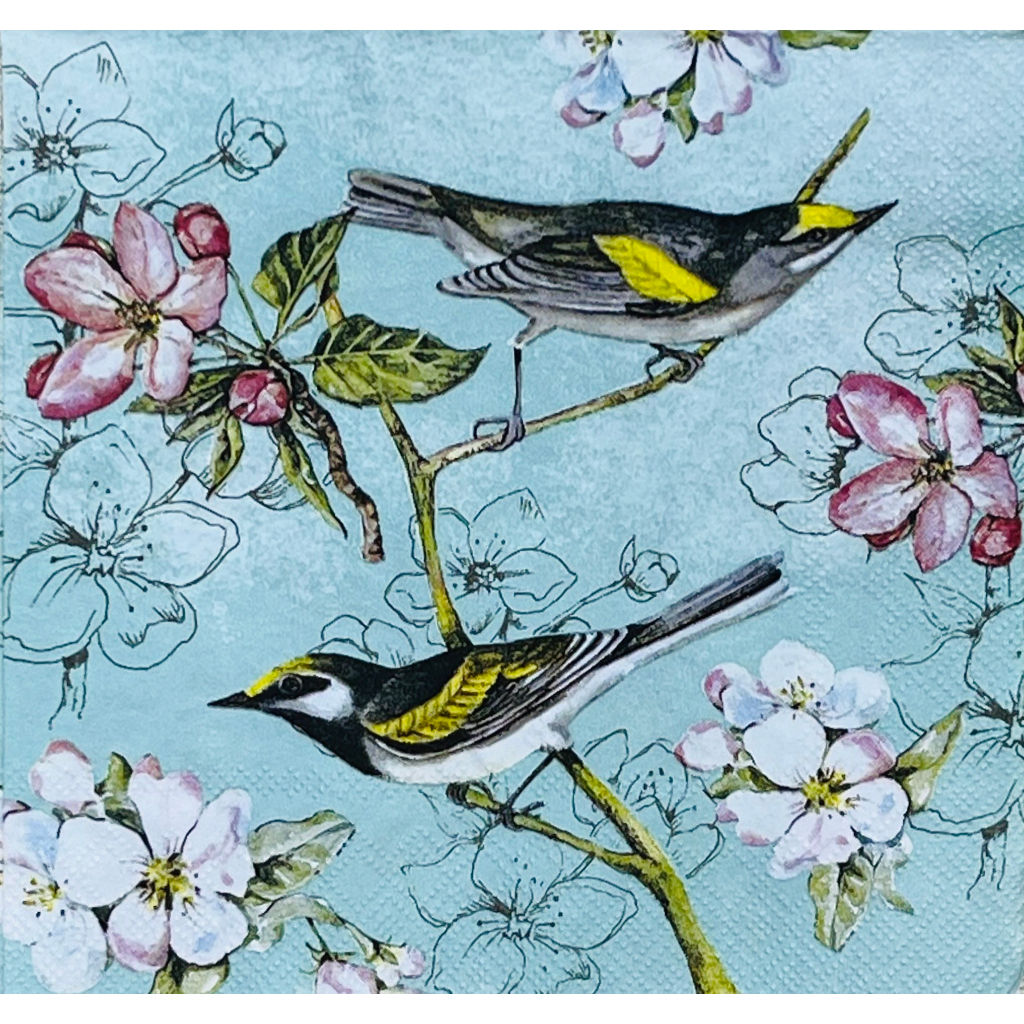 1 Sheet Of Paper Towel Printed - Decoupage napkin NK08 | Shopee Philippines