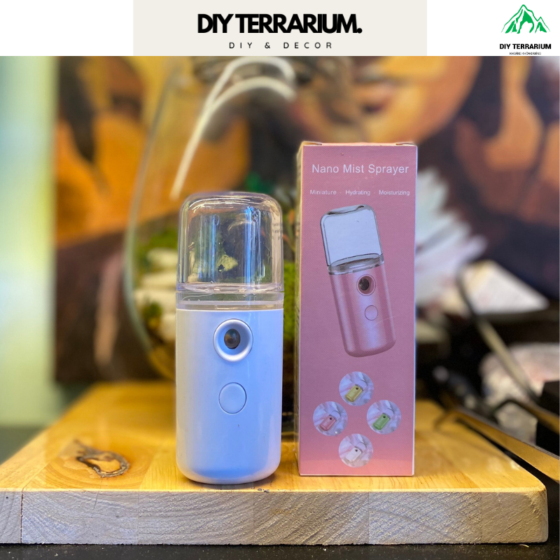 Humidifier for Moss and Terrariums Without Condensation - Good Type ...