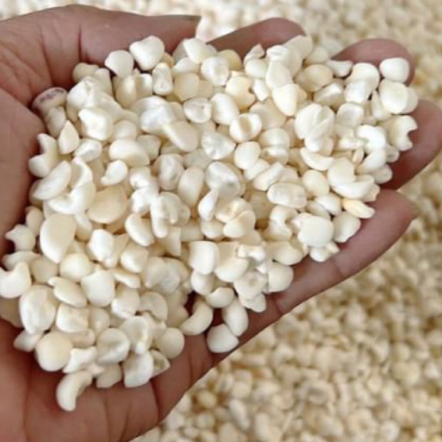 [Super cheap] 5kg Large ground white corn - Sticky rice corn (sticky ...