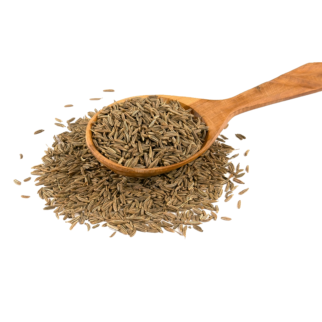 Cumin Seeds - Jeera - Jeera Cumin Seeds (100g) | Shopee Philippines