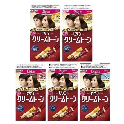 Bigen Japan Gray Hair Dye | Shopee Philippines