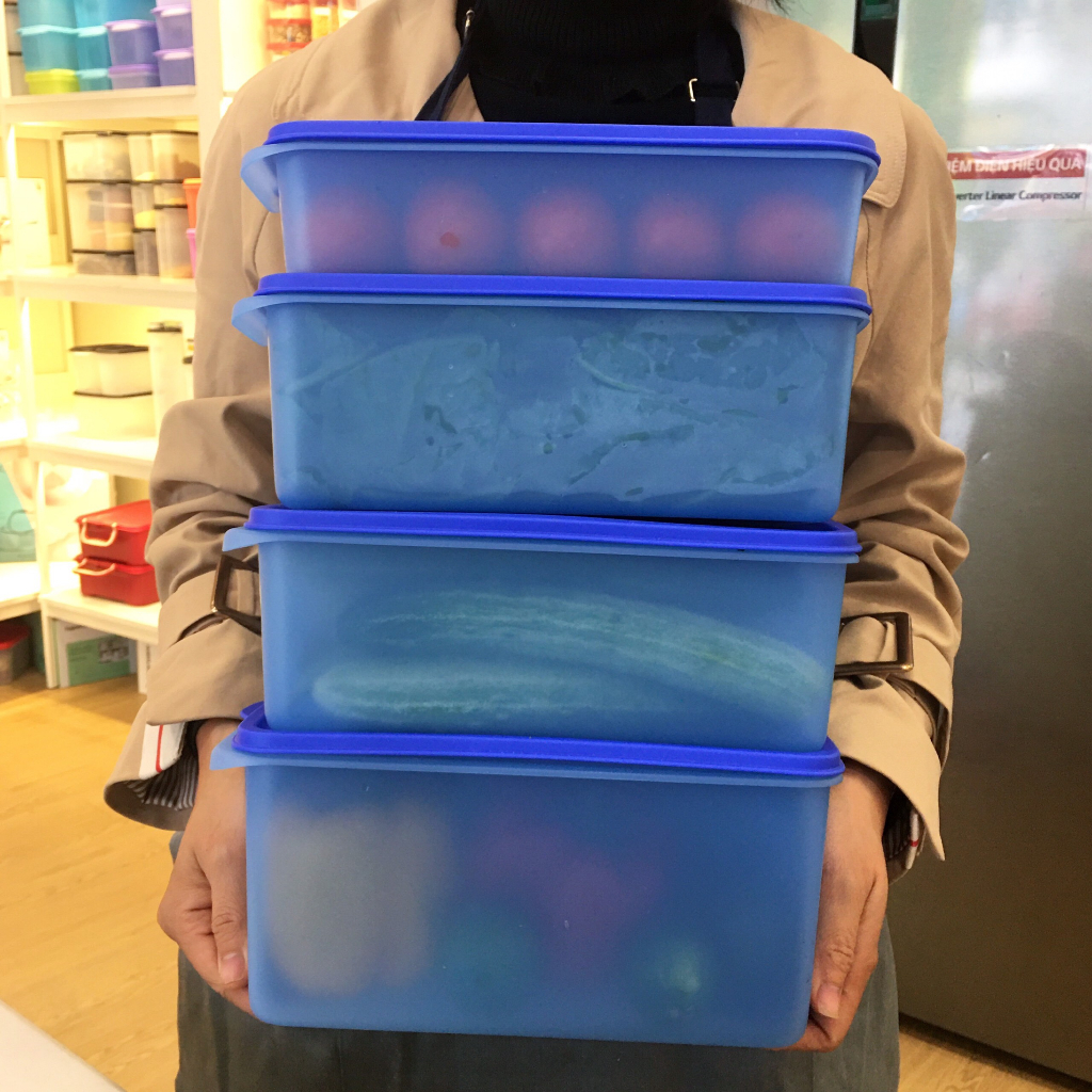 Single Tupperware Cooler Compartment Separate Set (01 Box) | Shopee ...