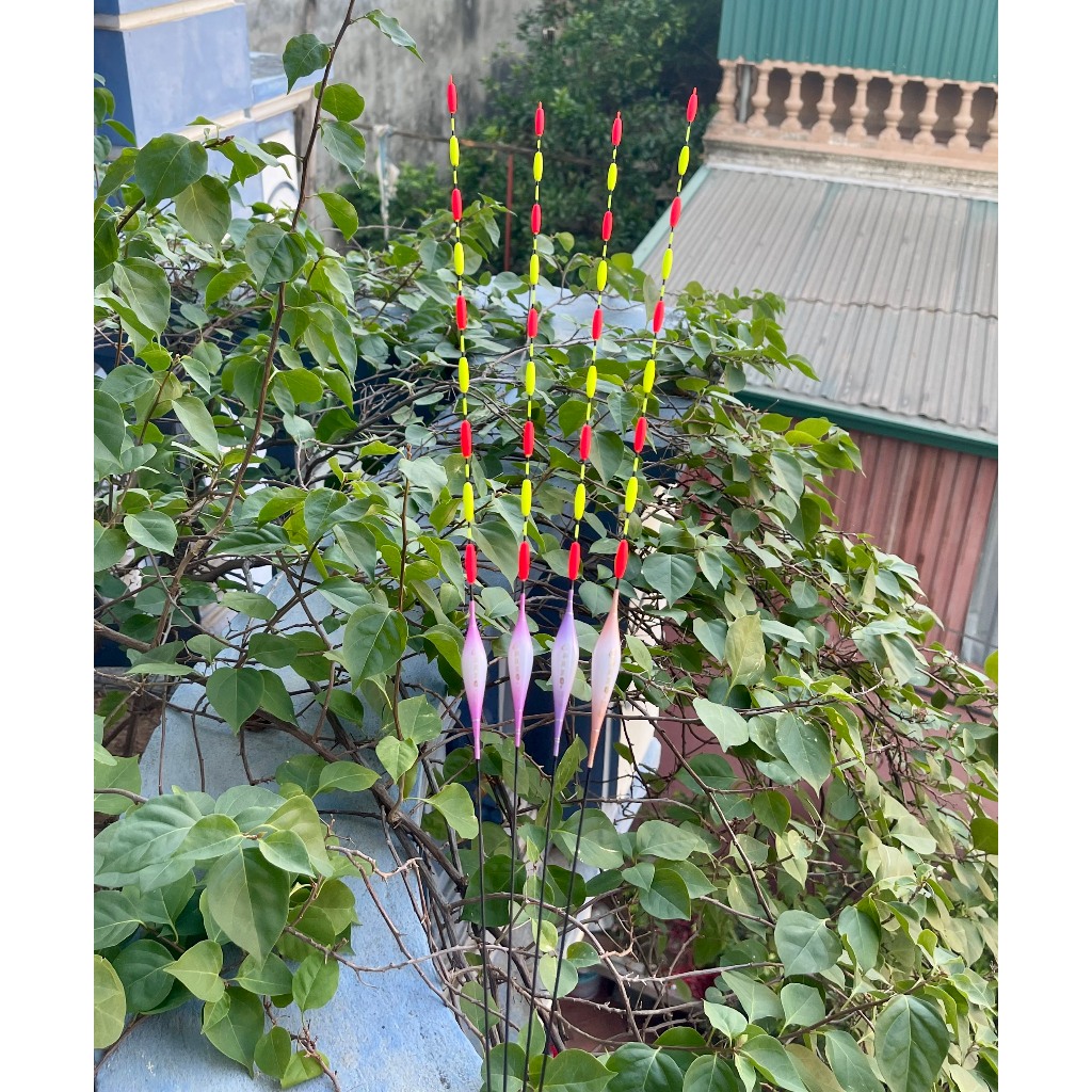 Thien Han Premium Fighting Pit Float 9 Bright Toothpick Levels ...