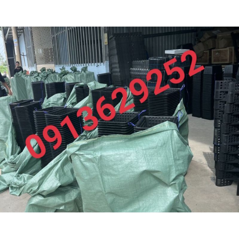 Plastic Crab Raising Box Size{LxWxH): 38x33x23 | Shopee Philippines