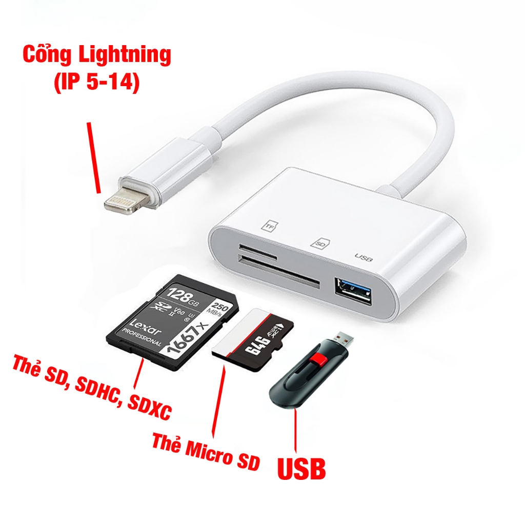 SD, Micro SD (TF), USB OTG memory card reader on android and IP phones ...
