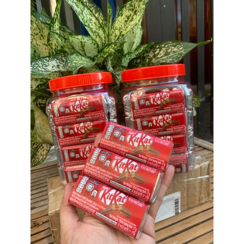 Plastic Box of 48 NESTLE KITKAT 2F Bars (17g x 48) | Shopee Philippines