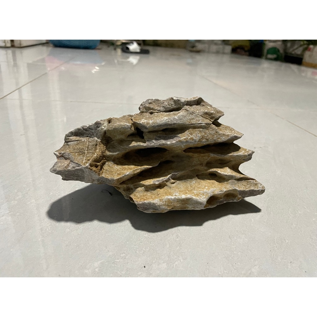 Tiger Stone Aquarium Setup - Tiger Stone for Aquarium Decoration (1500G ...