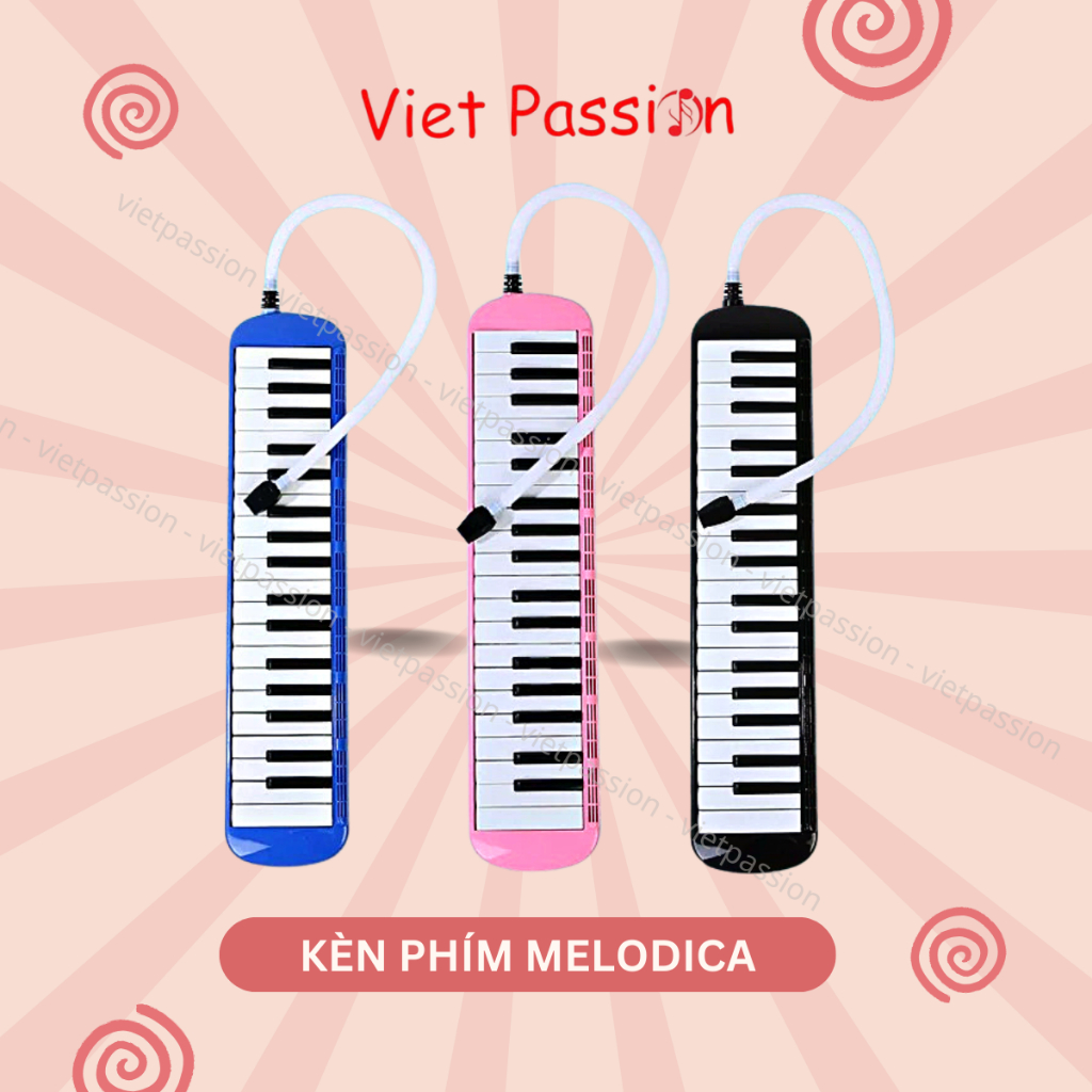 37-key Melodion Melodica Key Trumpet with long bellows Comes with Viet ...