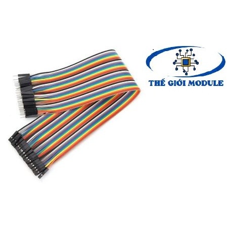 Bus Wire, Male Wire 30cm (40 Strands) | Shopee Philippines