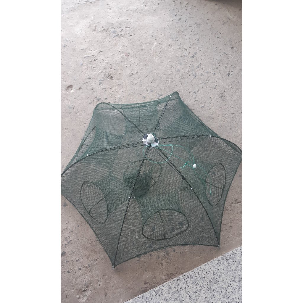 Bagua Cages and Nets for Catching Fish, Shrimp, Crabs, Eels (random ...