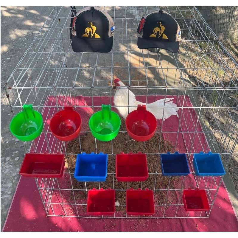 Square Plastic Trough for Chicken Feeding and Drinking - Square Trough ...