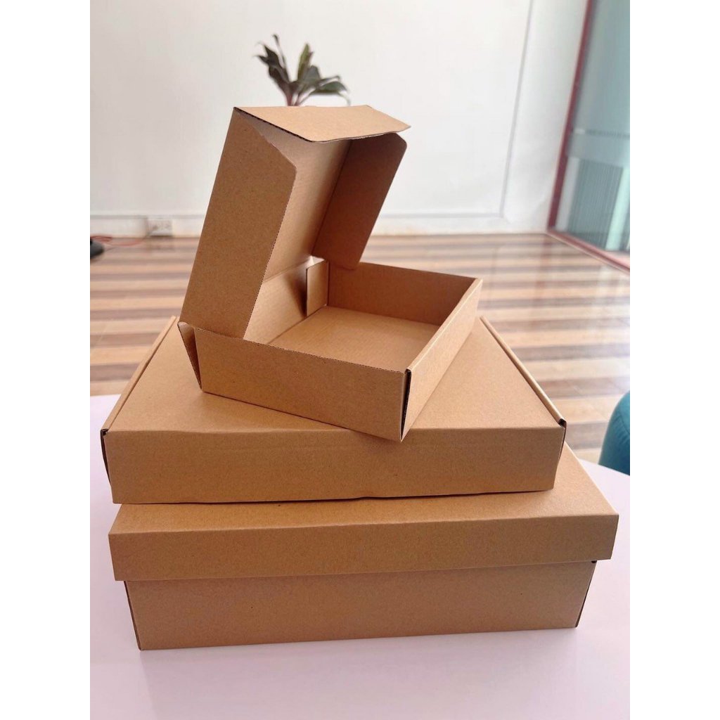 Combo of 10 Cardboard Boxes 20x15x5 cm | Shopee Philippines