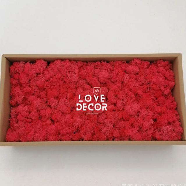 Red Reindeer Moss Box 500gr - immortal moss, decor moss, antler moss ...