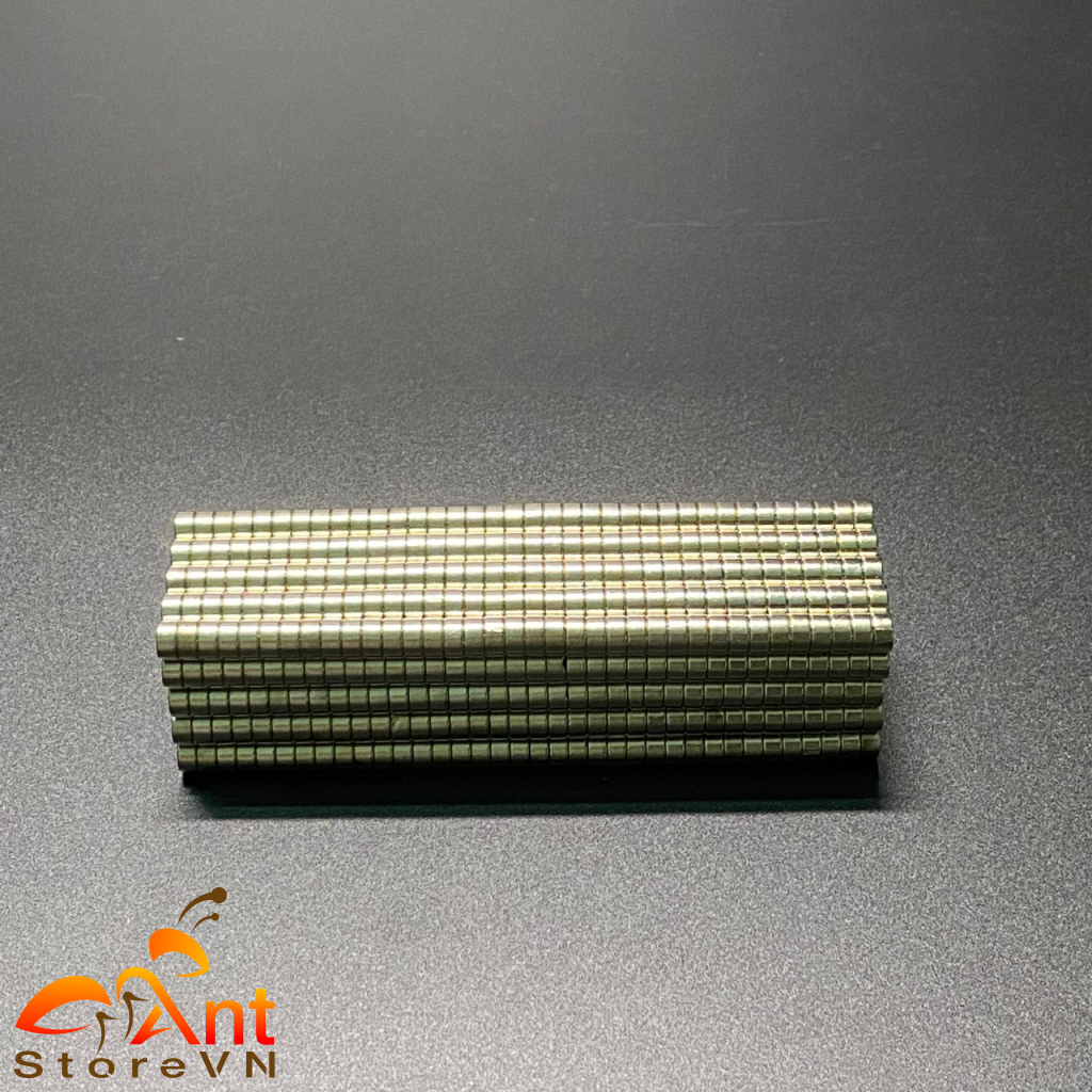 Ant Tank Rare Earth Magnet Permanent Magnet Standard Size Making Ant ...