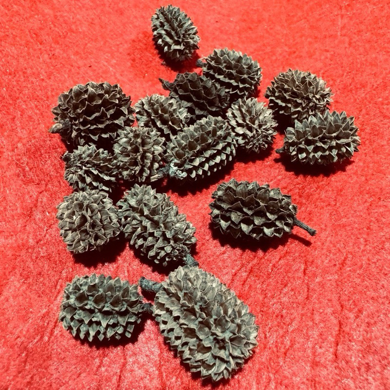 Set of 10 small pine cones, 2-3cm Willow fruit to decorate the pine ...
