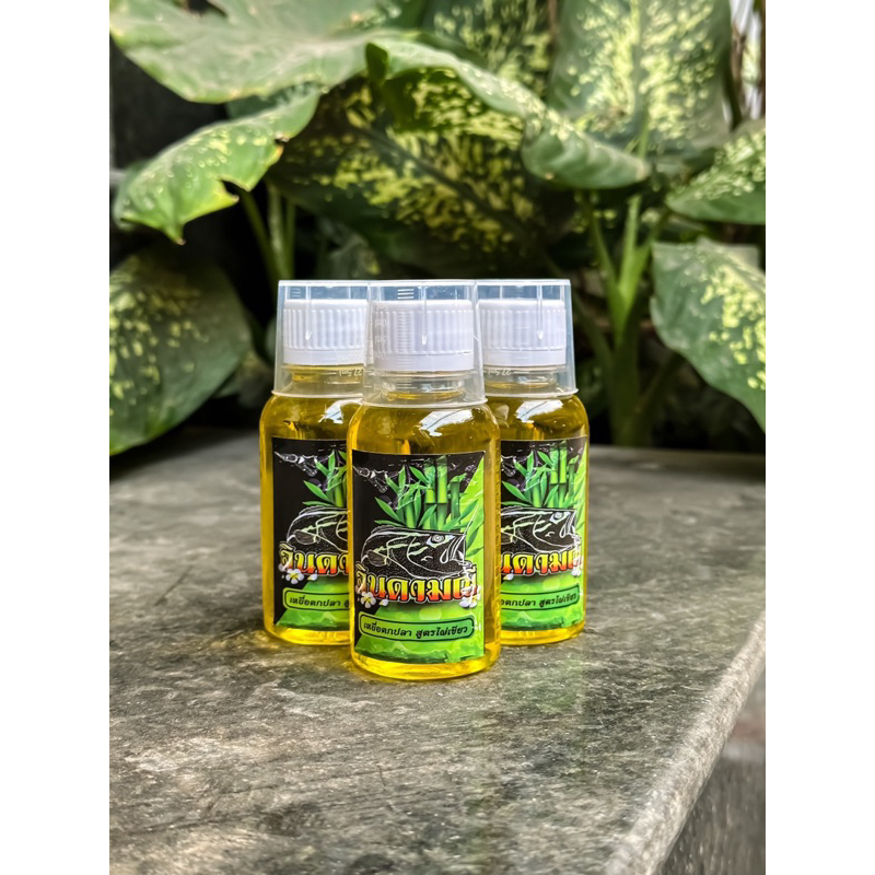 Essence of fishing for catfish, catfish, catfish, catfish... | Shopee ...