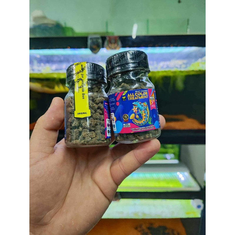 ALL COLOR BANGFISH Bran | Supports the same nutrition time to develop ...