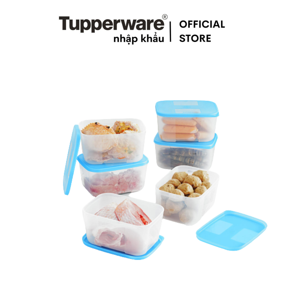 Genuine Tupperware Freezer Box Basic set of 6 650ml lifetime virgin ...